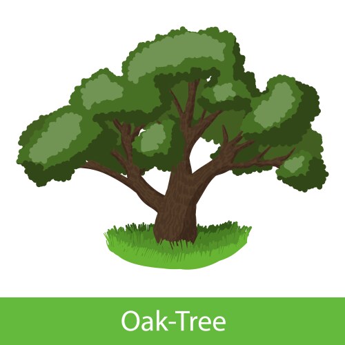 Oak Tree Vector Images (over 59,000)
