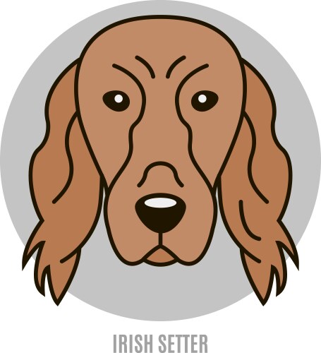 Decorative portrait of dog irish setter Royalty Free Vector
