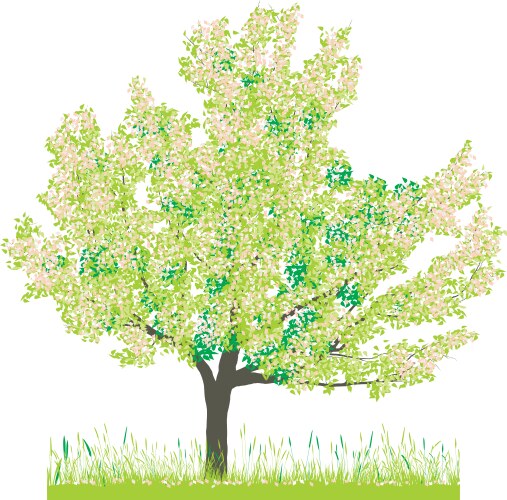 Spring Tree Vector Images (over 250,000)