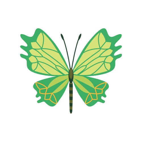 Exotic color butterfly hand drawn moth wings Vector Image