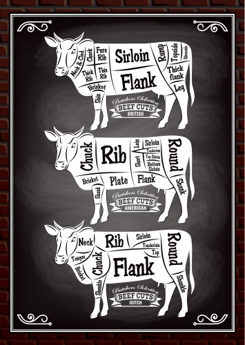 Poster with detailed diagram cutting cows Vector Image