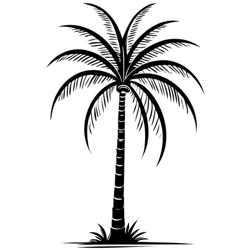 Palm Tree Line Drawing Vector Images (over 5,400)