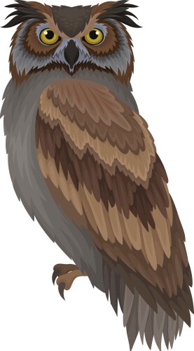 Owl Side View Vector Images (61)