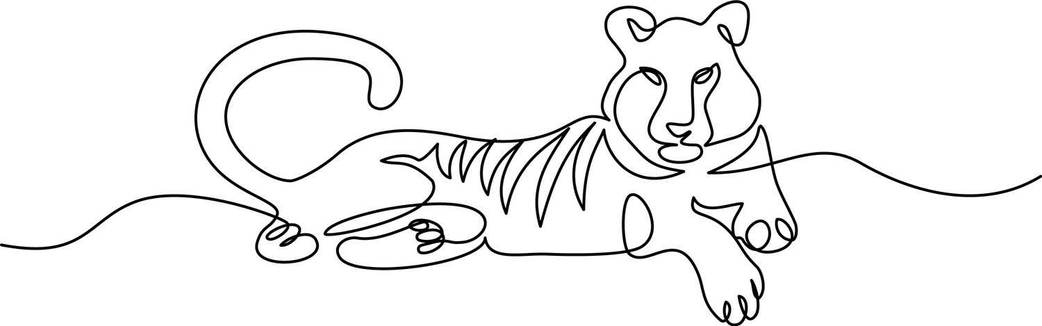 Tiger Line Drawing Vector Images (over 7,800)
