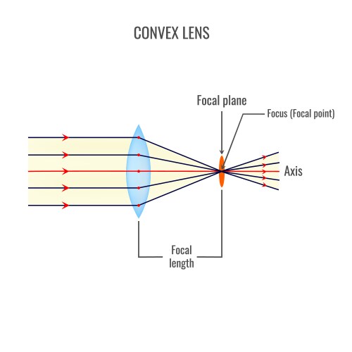 Convex Lens Vector Images (over 200)