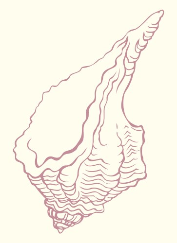 Open pearl shell continuous one line drawing Vector Image