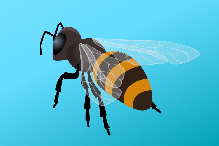 Isometric honey bee flying people breed Royalty Free Vector