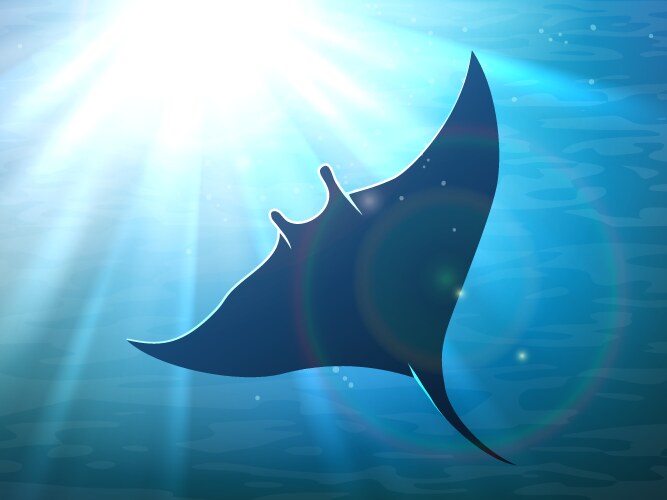 Manta Ray Vector Images (over 1,700)