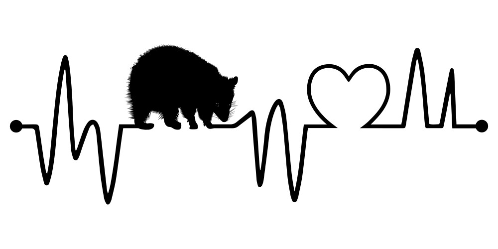 Wombat Vector Images (over 910)