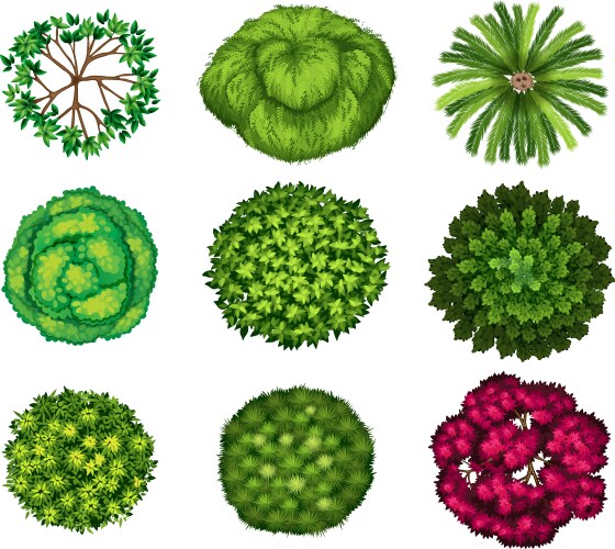 Trees top view for landscape Royalty Free Vector Image