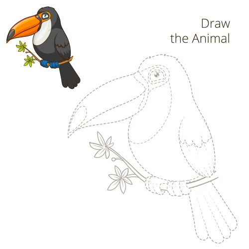Draw the animal toucan educational game Royalty Free Vector