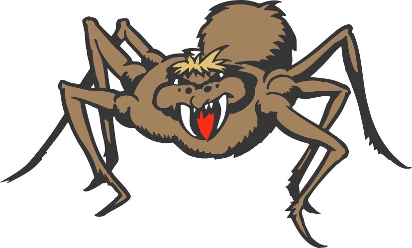 Spider Royalty Free Vector Image - VectorStock