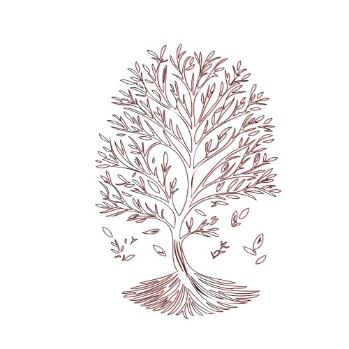 Maple tree nature outline sketch Royalty Free Vector Image