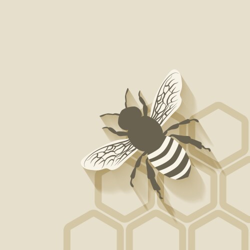 Bee Drawing Vector Images (over 24,000)