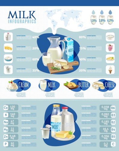 Milk production infographic cattle farming Vector Image