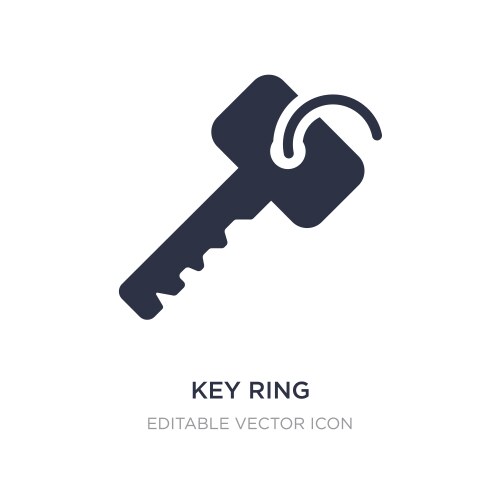 Keys icon Royalty Free Vector Image - VectorStock