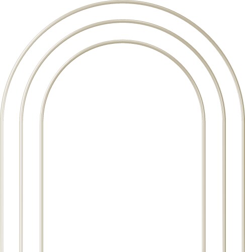 Golden arches thin rounded luxury metal frames Vector Image