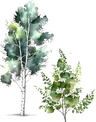 Hand drawn birch tree and branch Royalty Free Vector Image