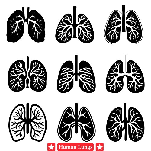 Professional human lungs diagrams set tailored Vector Image