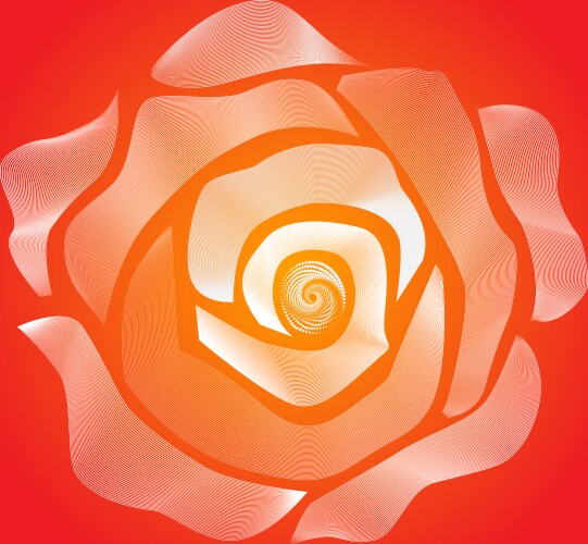 Dotted spiral vortex rose Royalty Free Vector Image