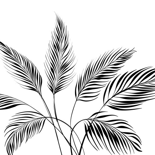 Tropical palm leaves set Royalty Free Vector Image