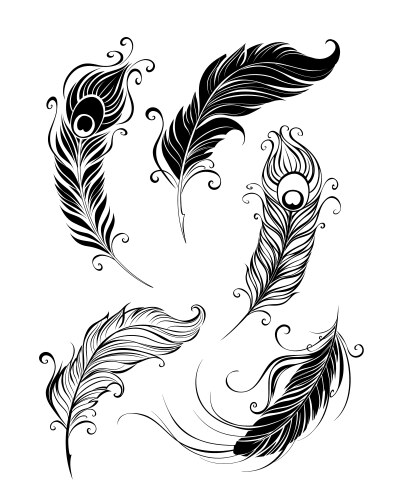 Feathers Vector Images (over 280,000)