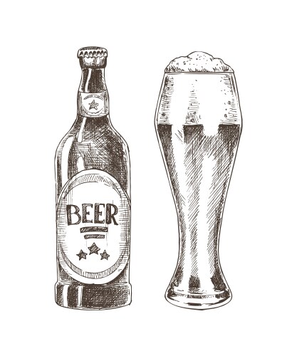 Glass filled with beer sketch Royalty Free Vector Image