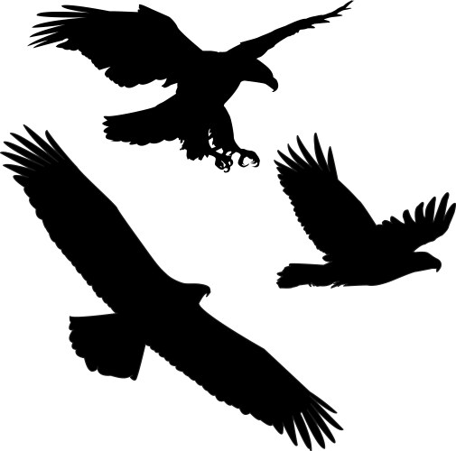 Eagle - three variations Royalty Free Vector Image