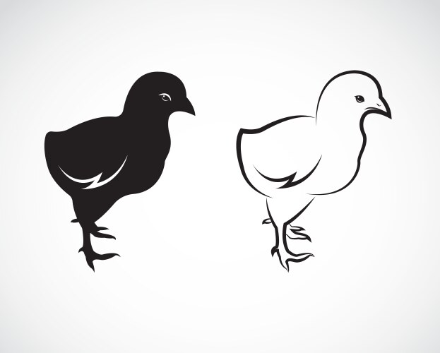 Chick Vector Images (over 39,000)