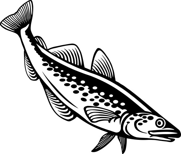 Cod Fish Vector Images (over 3,300)