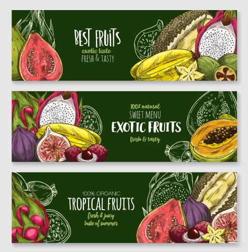 Fruit and fresh berry banner template set design Vector Image