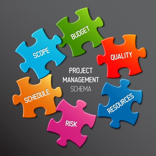 Project management mind map scheme diagram Vector Image