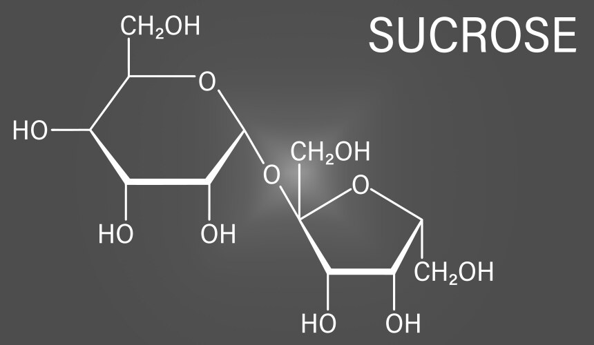 Lewis Structure Of Sugar Sucrose