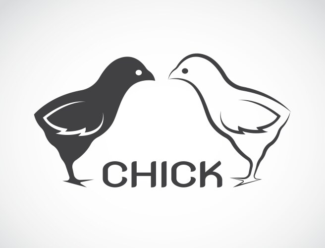 Chick Vector Images (over 34,000)