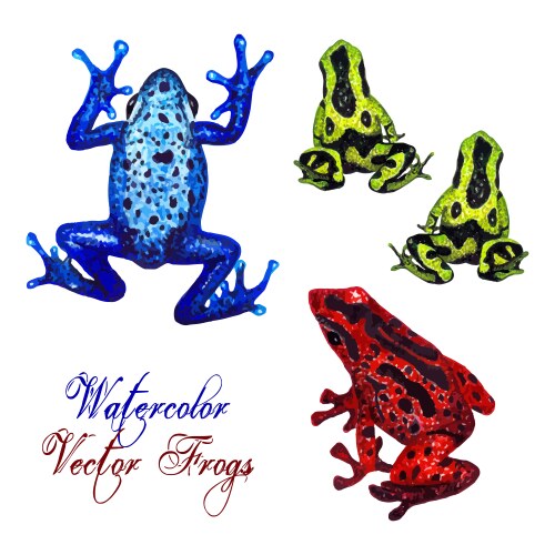Tropical types of frogs set exotic color toads Vector Image
