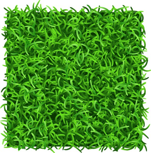 Grass Top View Vector Images (over 3,000)