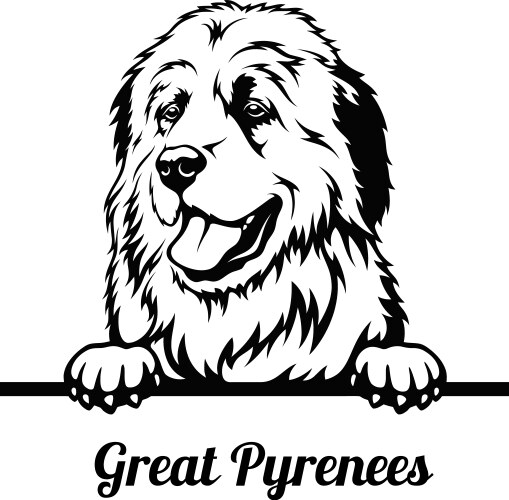 Great Pyrenees Dog Vector Images (over 150)