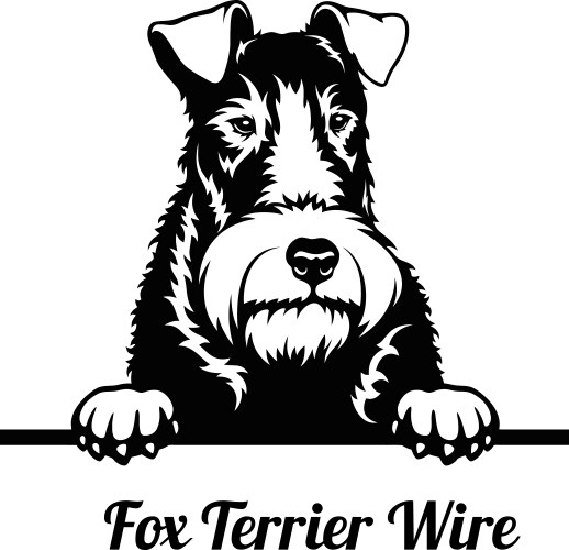 Fox Hound Vector Images (over 550)