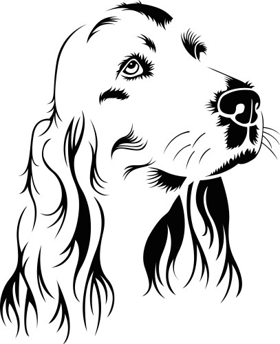 Cocker Spaniel Vector Images (over 1,600)