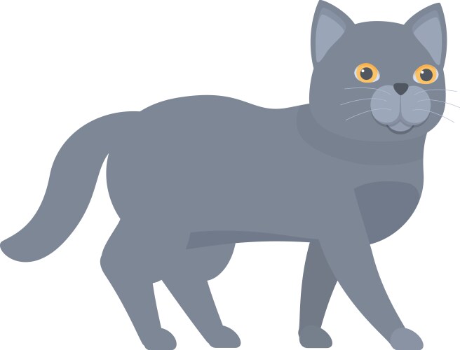 British Shorthair Vector Images (over 680)