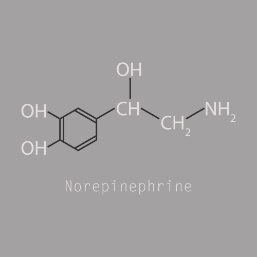 Norepinephrine noradrenaline norepi hormone Vector Image
