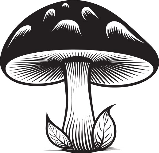 Toadstool Vector Images (over 10,000)