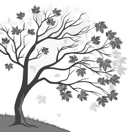 Maple tree black and white Royalty Free Vector Image