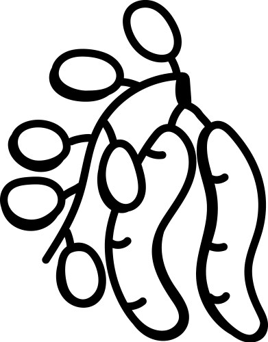 Tamarind outline Vector Images & Graphics for Commercial Use | VectorStock