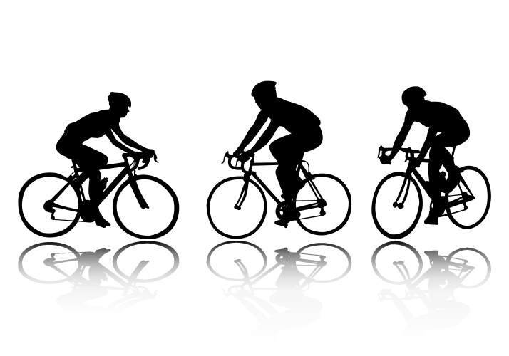 Race bicyclist detailed color Royalty Free Vector Image