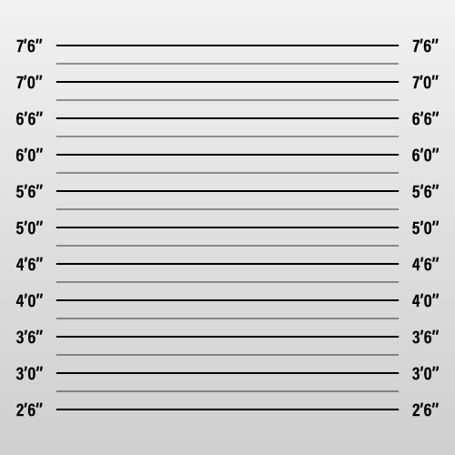 Height Chart in Jail Vector Images (over 190)