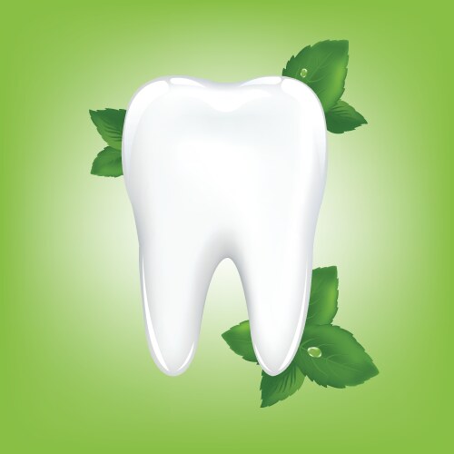 Tooth Vector Images (over 130,000)