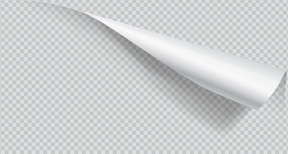 Curled corner of paper with shadow realistic Vector Image