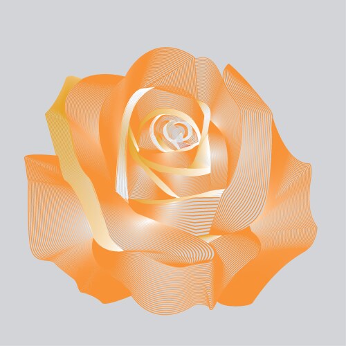 Dotted spiral vortex bird Royalty Free Vector Image