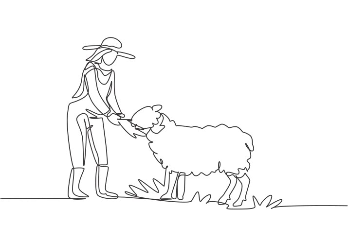 Continuous one line drawing a little lamb sheep Vector Image